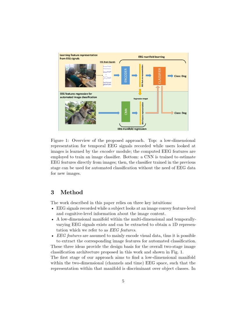 Deep Learning Human Mind for Automated Visual Classification | DeepAI