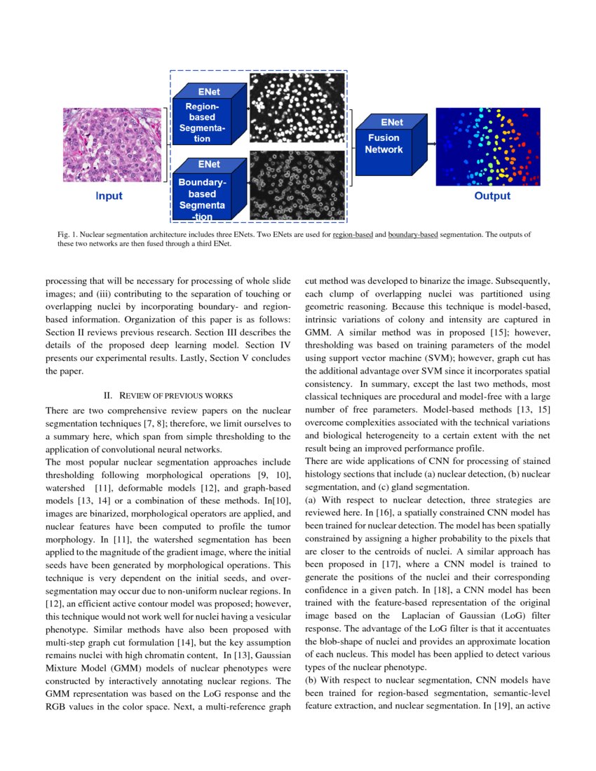 Deep Learning Models Delineates Multiple Nuclear Phenotypes in H&E ...