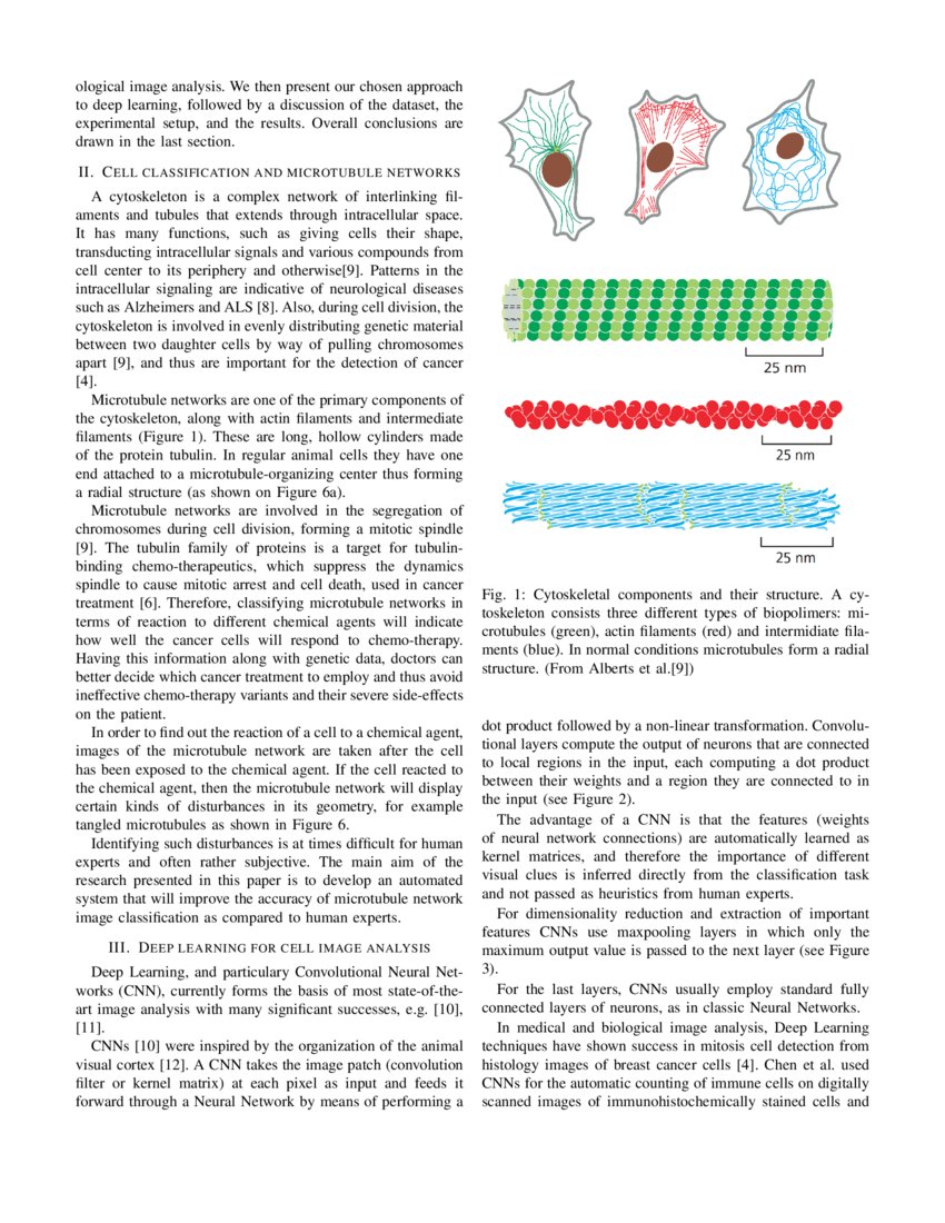 Deep Learning of Cell Classification using Microscope Images of ...