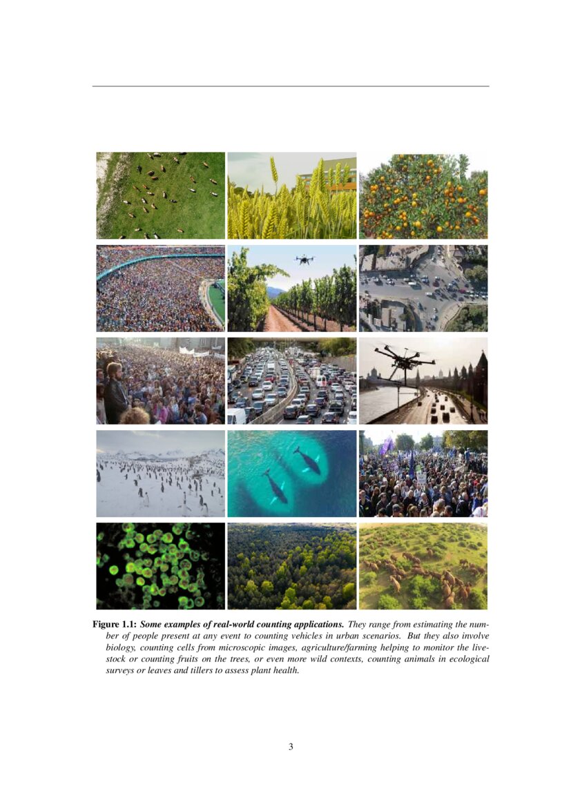 Deep Learning Techniques for Visual Counting | DeepAI