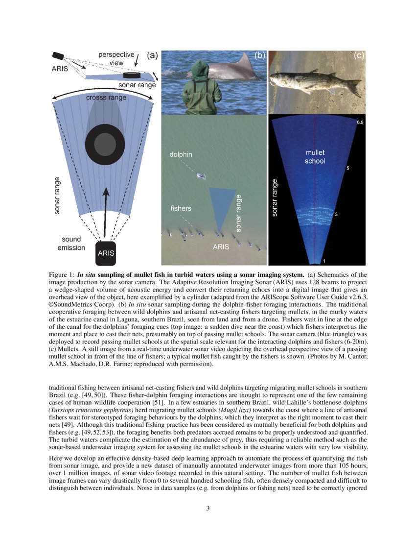 Deep learning with self-supervision and uncertainty regularization to ...