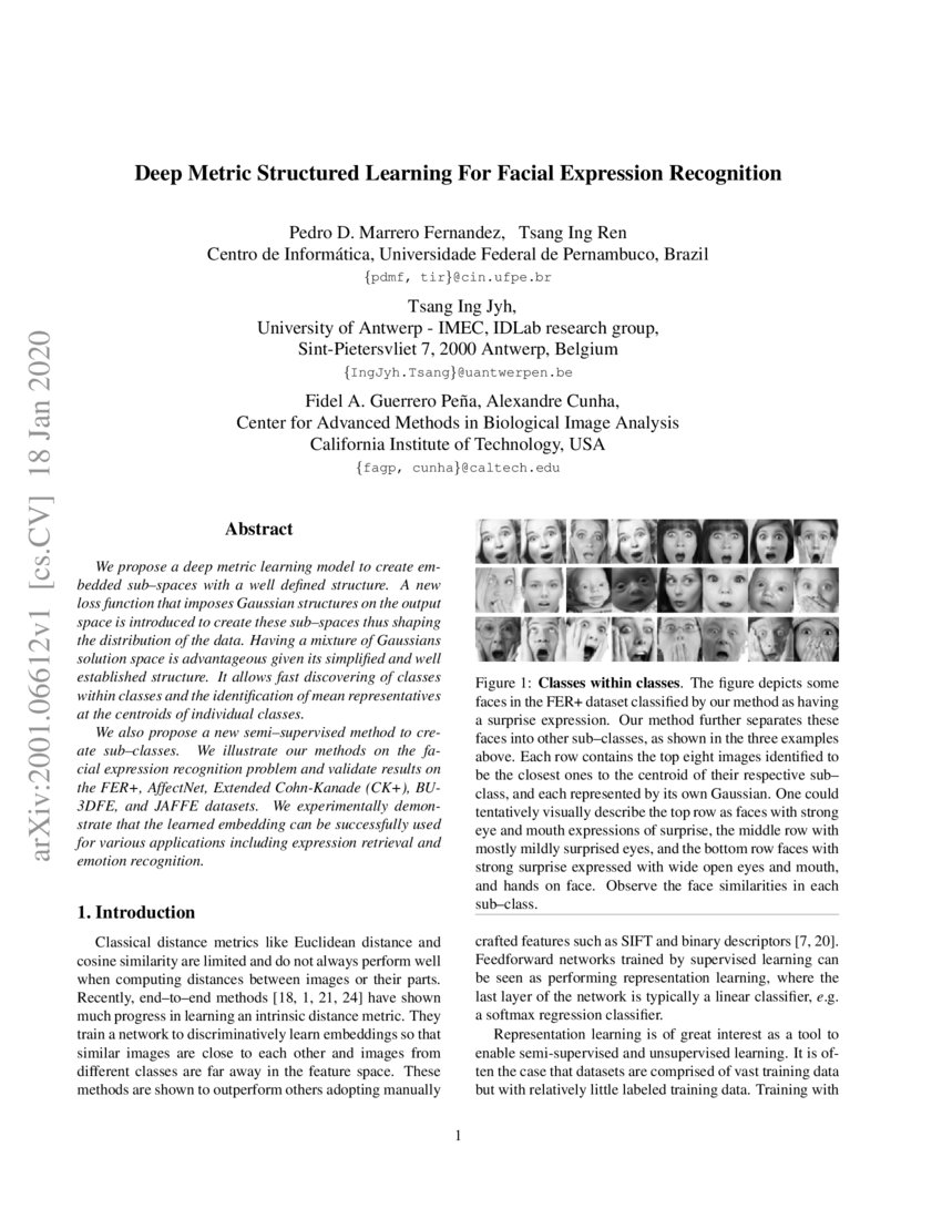 Deep Metric Structured Learning For Facial Expression Recognition | DeepAI