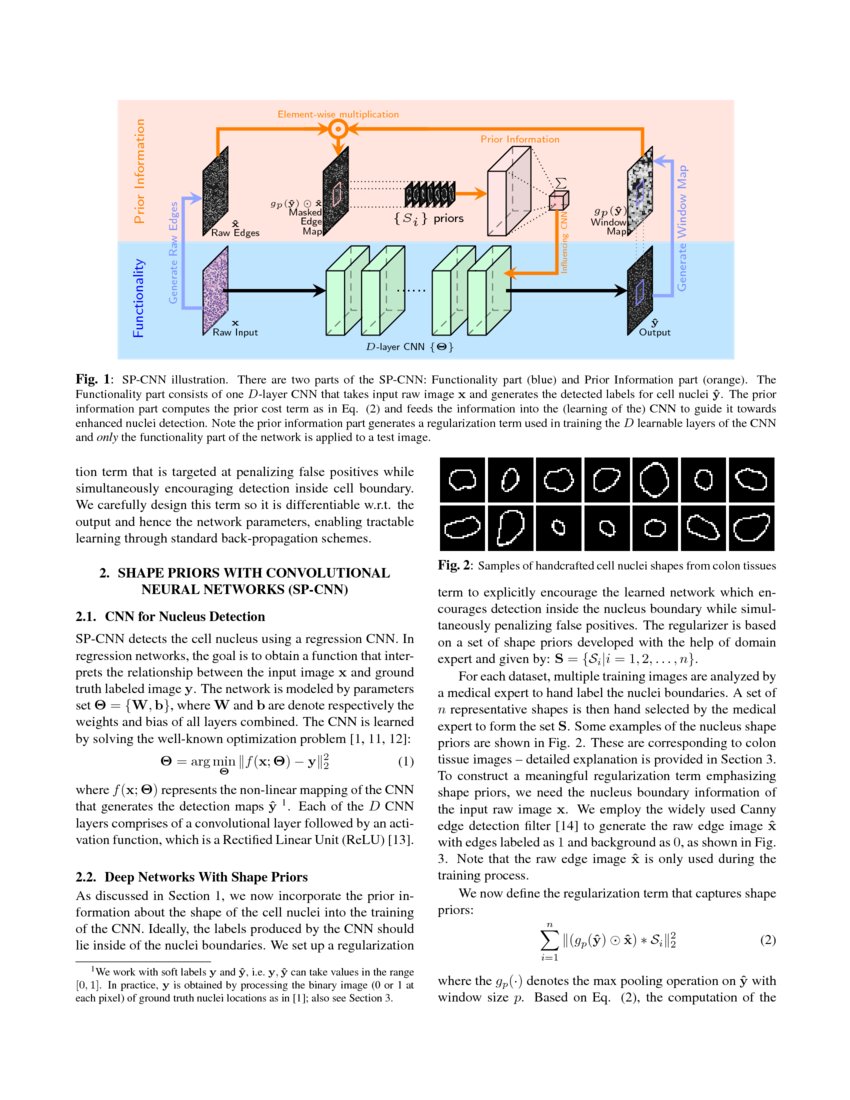 Deep Networks with Shape Priors for Nucleus Detection | DeepAI