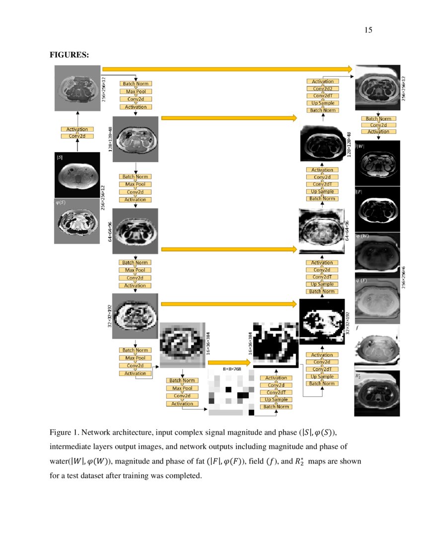 Deep Neural Network (DNN) for Water/Fat Separation: Supervised Training, Unsupervised Training ...