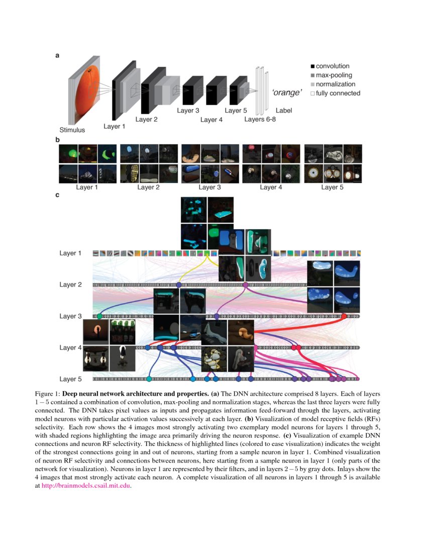 Deep Neural Networks Predict Hierarchical Spatio Temporal Cortical