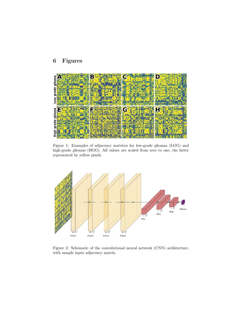Deep neuroevolution to predict primary brain tumor grade from functional MRI adjacency matrices ...
