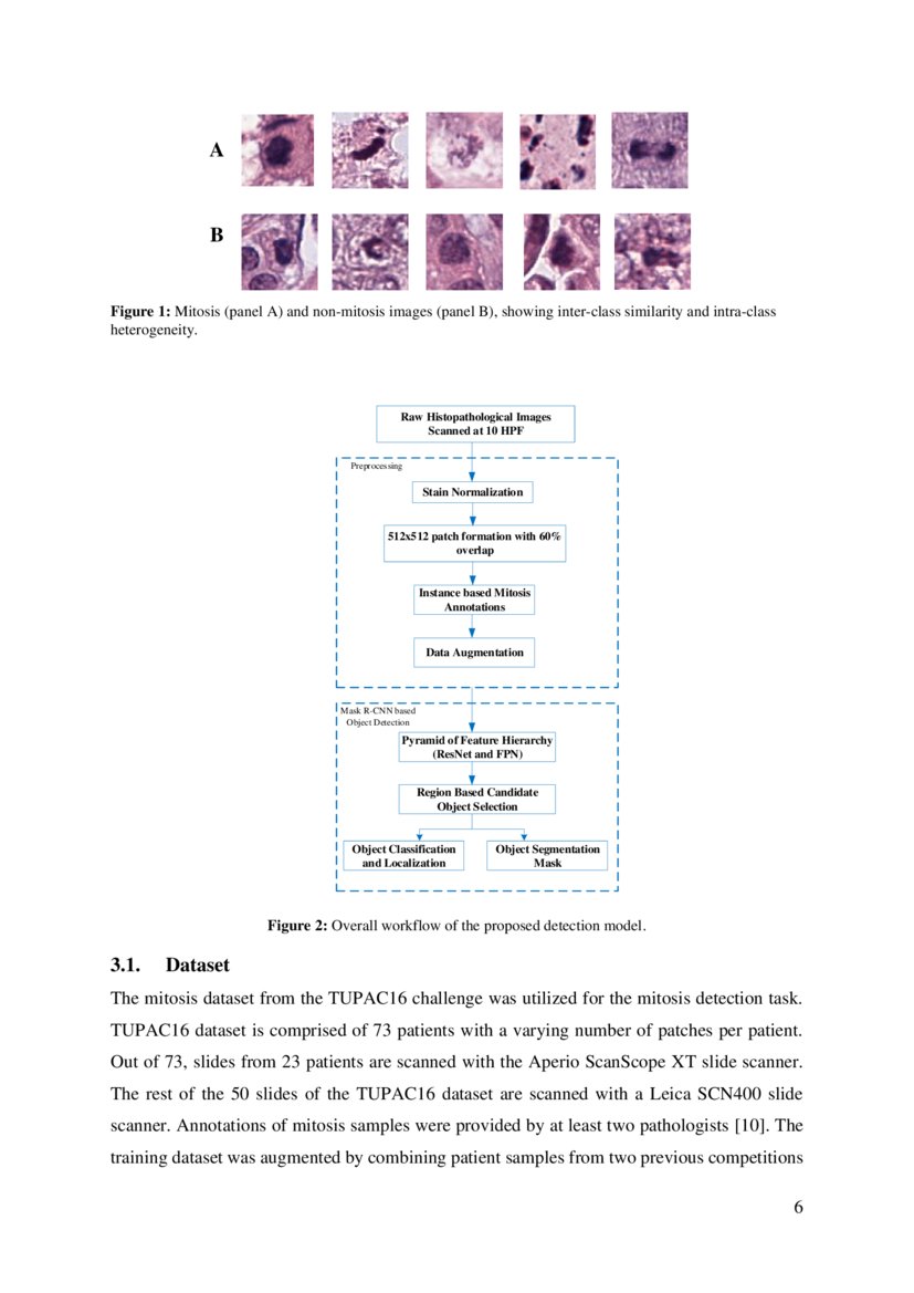 Deep Object Detection Based Mitosis Analysis In Breast Cancer