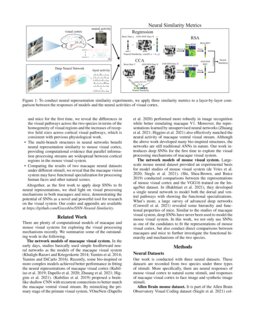 Deep Spiking Neural Networks with High Representation Similarity Model Visual Pathways of ...