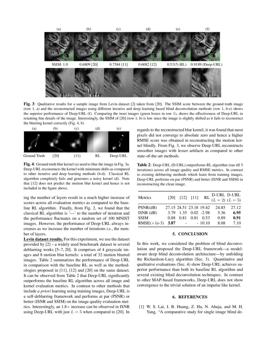 Deep-URL: A Model-Aware Approach To Blind Deconvolution Based On Deep Unfolded Richardson-Lucy ...