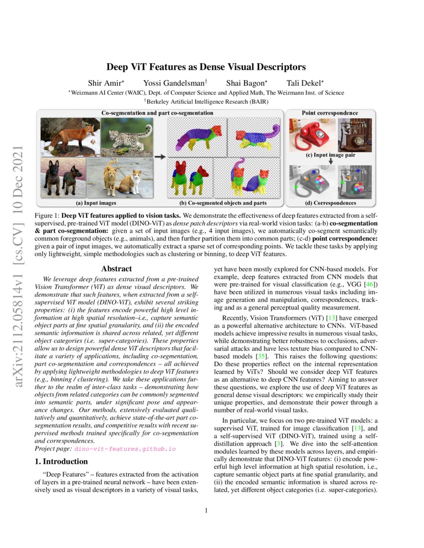 Deep ViT Features as Dense Visual Descriptors | DeepAI