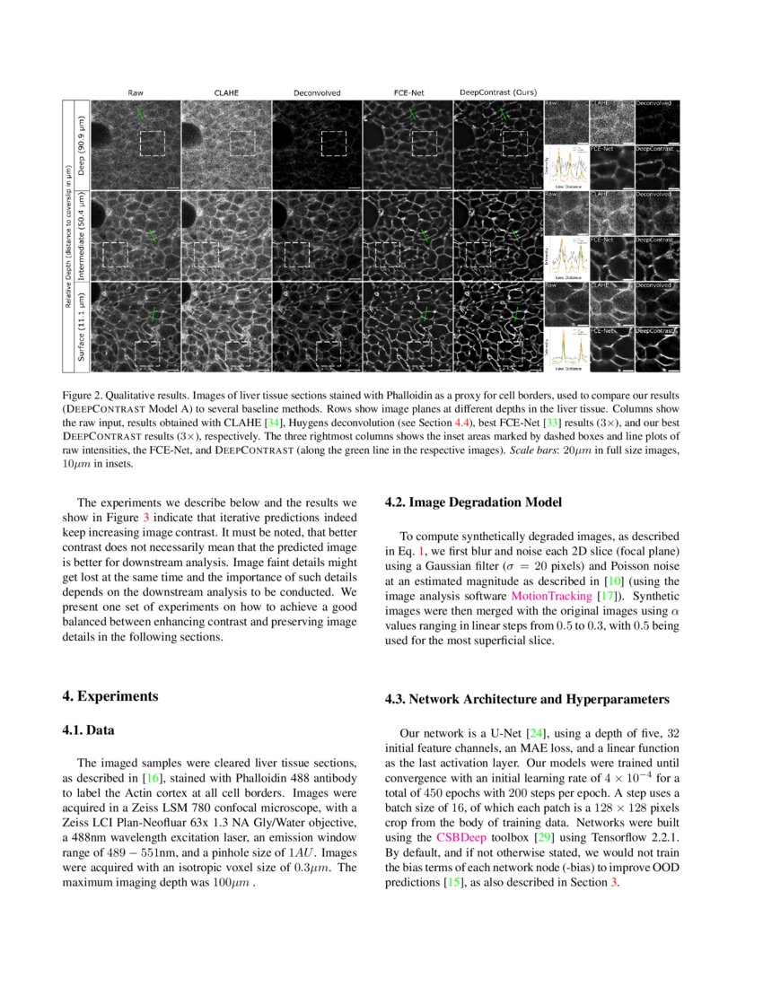 DeepContrast: Deep Tissue Contrast Enhancement using Synthetic Data Degradations and OOD Model ...