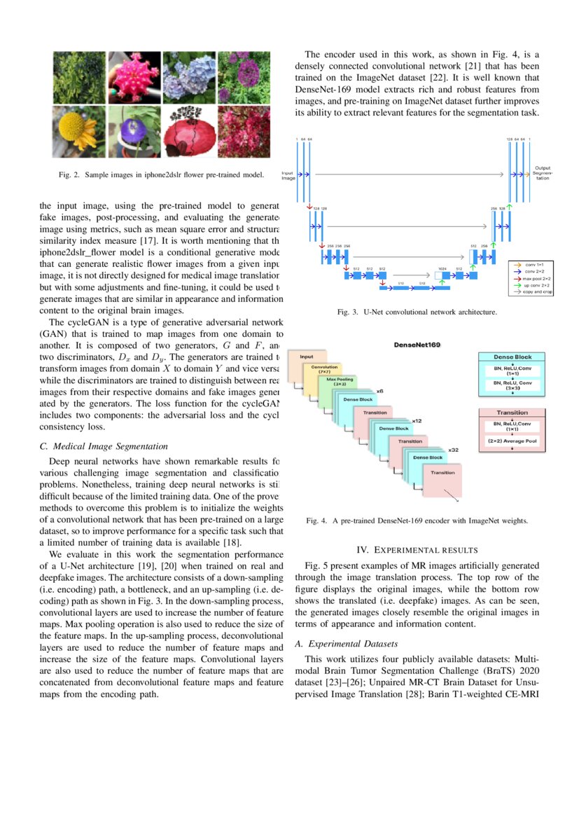 Deepfake Image Generation for Improved Brain Tumor Segmentation | DeepAI