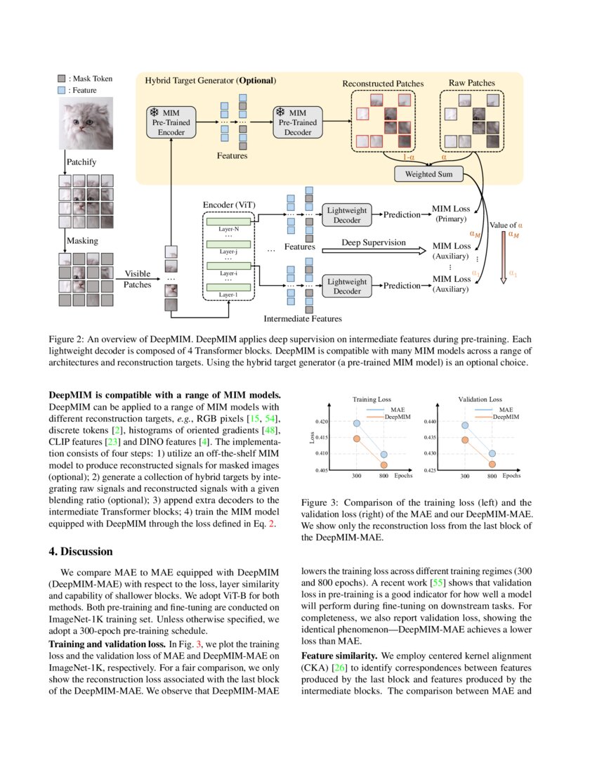 DeepMIM: Deep Supervision for Masked Image Modeling | DeepAI