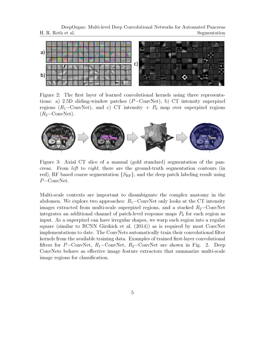 DeepOrgan: Multi-level Deep Convolutional Networks for Automated Pancreas Segmentation | DeepAI
