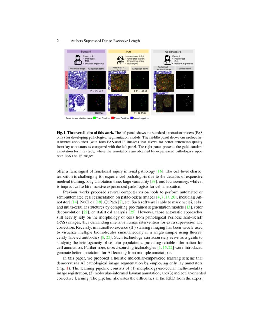 Democratizing Pathological Image Segmentation With Lay Annotators Via Molecular Empowered