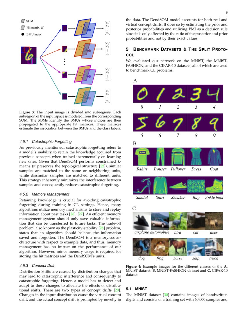 Dendritic Self-Organizing Maps for Continual Learning | DeepAI