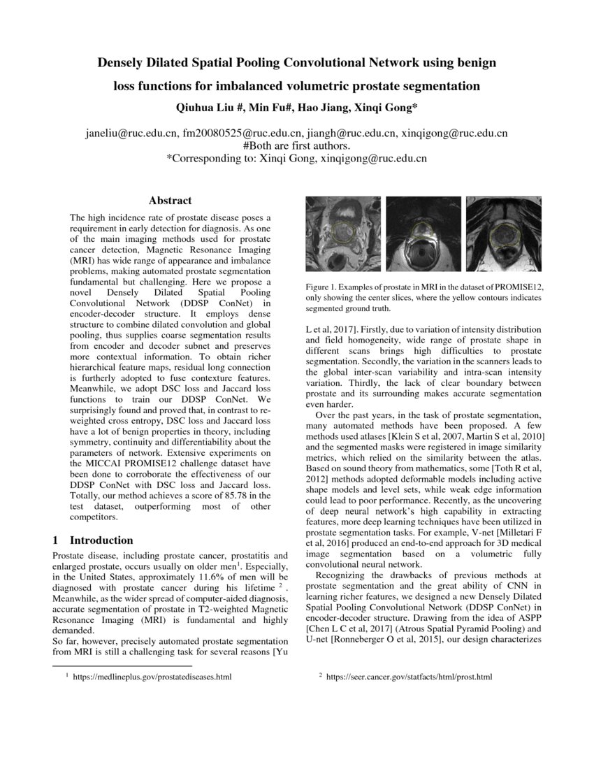 Densely Dilated Spatial Pooling Convolutional Network using benign loss functions for imbalanced ...