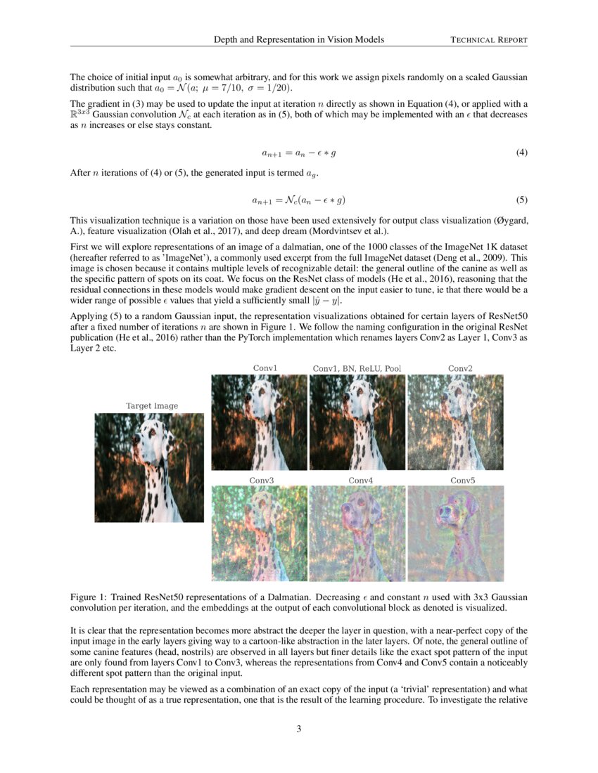 Depth and Representation in Vision Models | DeepAI