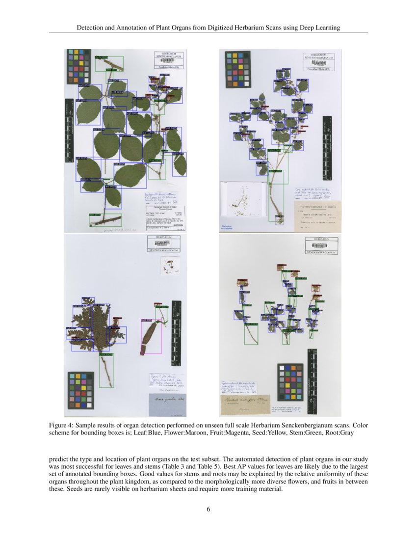 Detection and Annotation of Plant Organs from Digitized Herbarium Scans ...
