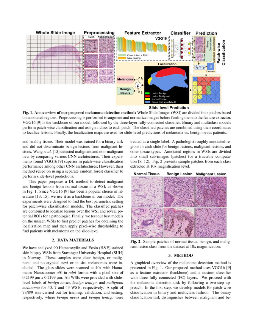Detection and Localization of Melanoma Skin Cancer in Histopathological ...