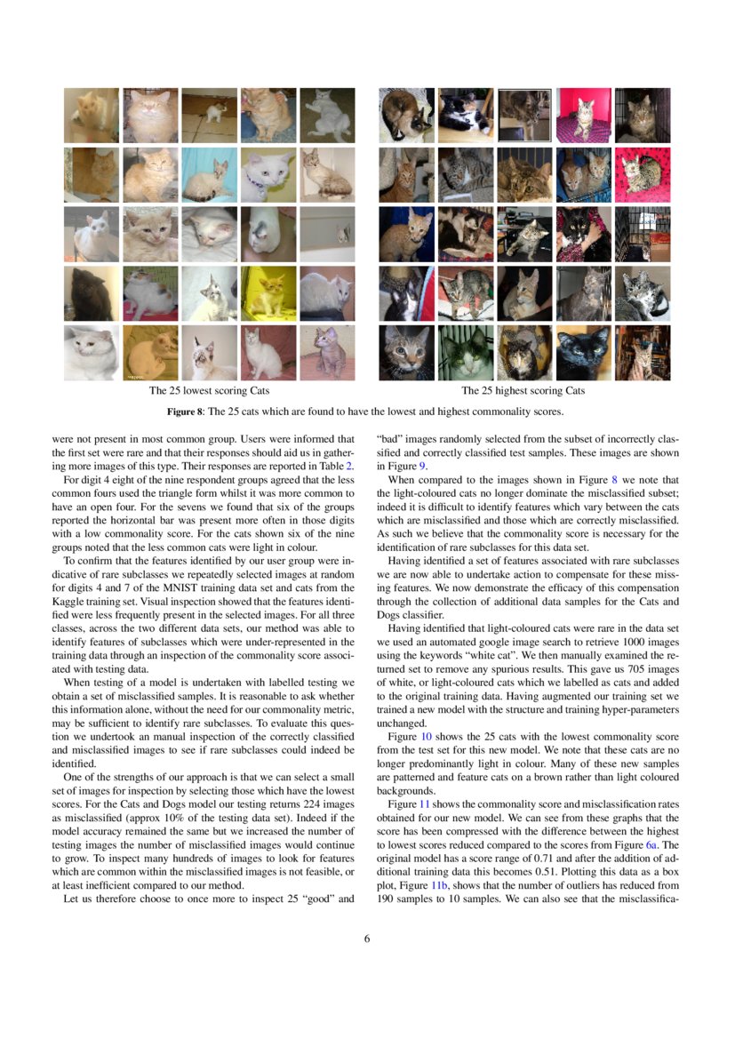 Detection And Mitigation Of Rare Subclasses In Neural Network 8328