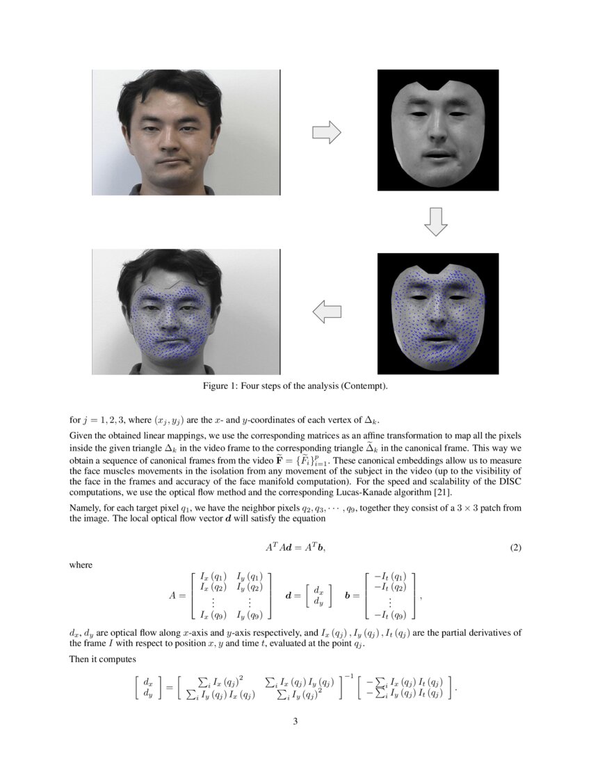 Detection of (Hidden) Emotions from Videos using Muscles Movements and Face Manifold Embedding ...