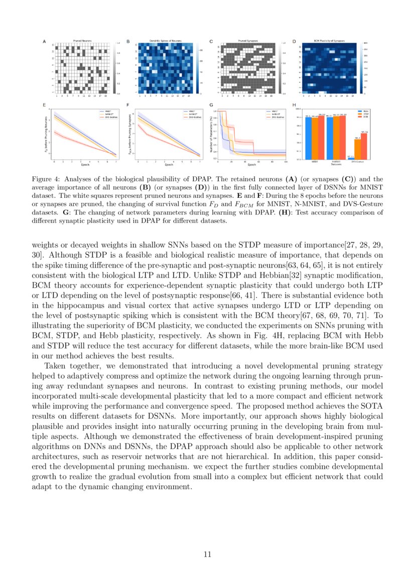 Developmental Plasticity-inspired Adaptive Pruning for Deep Spiking and ... Developmental Plasticity-inspired Adaptive Pruning for Deep Spiking and ...