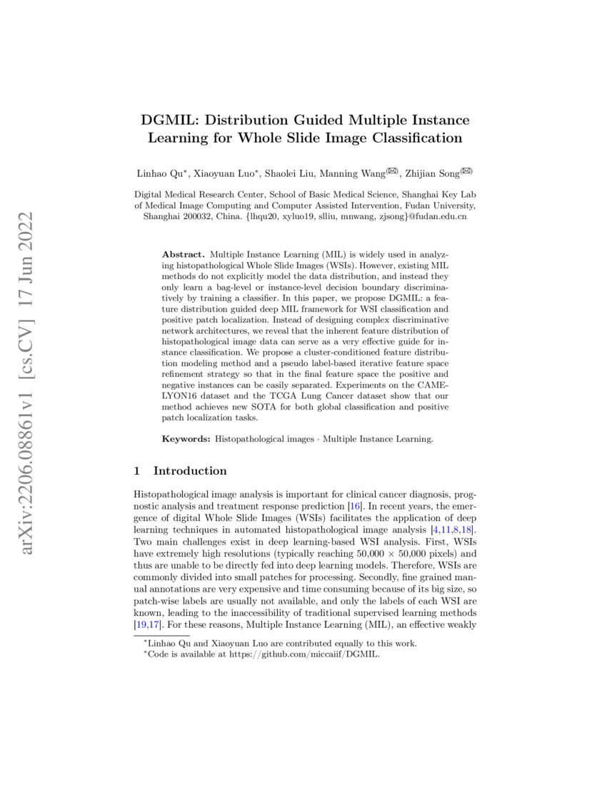 DGMIL: Distribution Guided Multiple Instance Learning for Whole Slide Image Classification | DeepAI