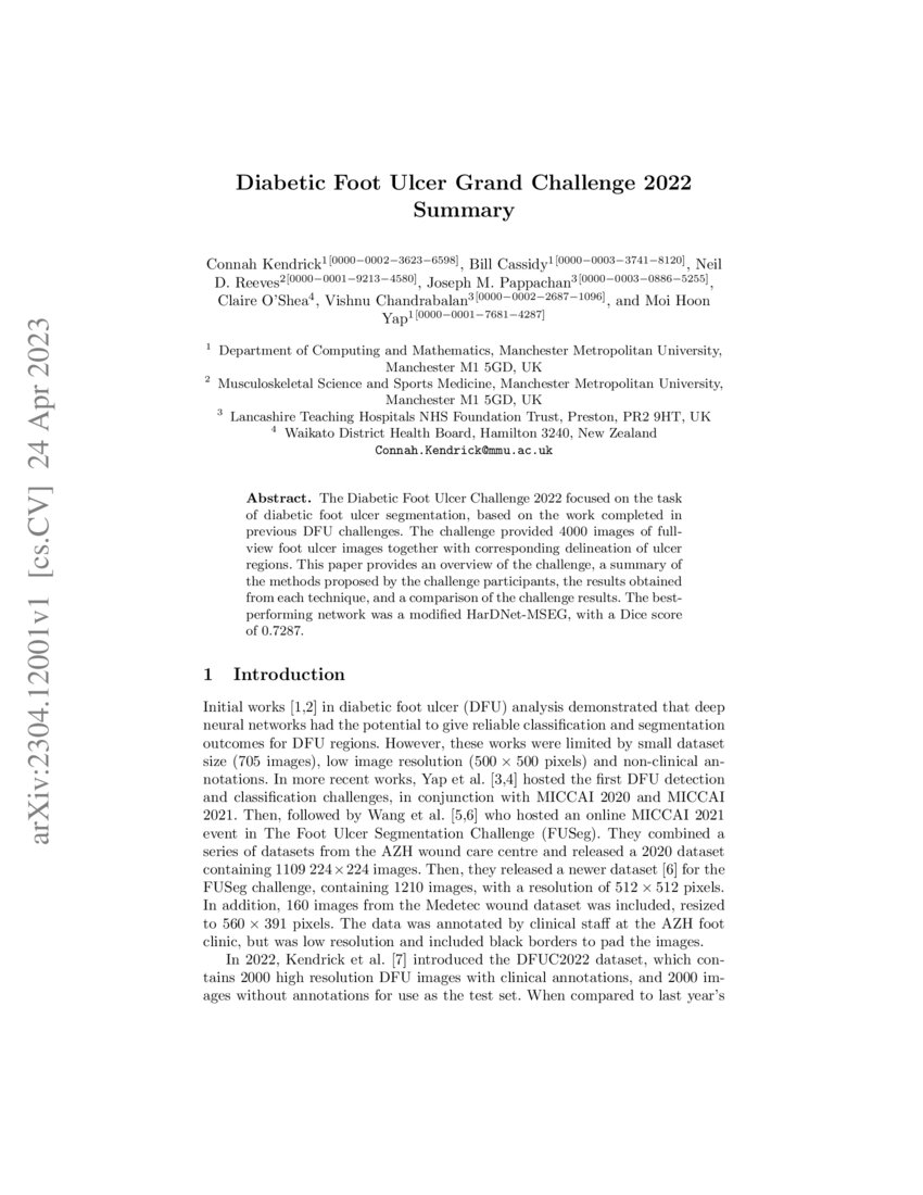 Diabetic Foot Ulcer Grand Challenge 2022 Summary | DeepAI