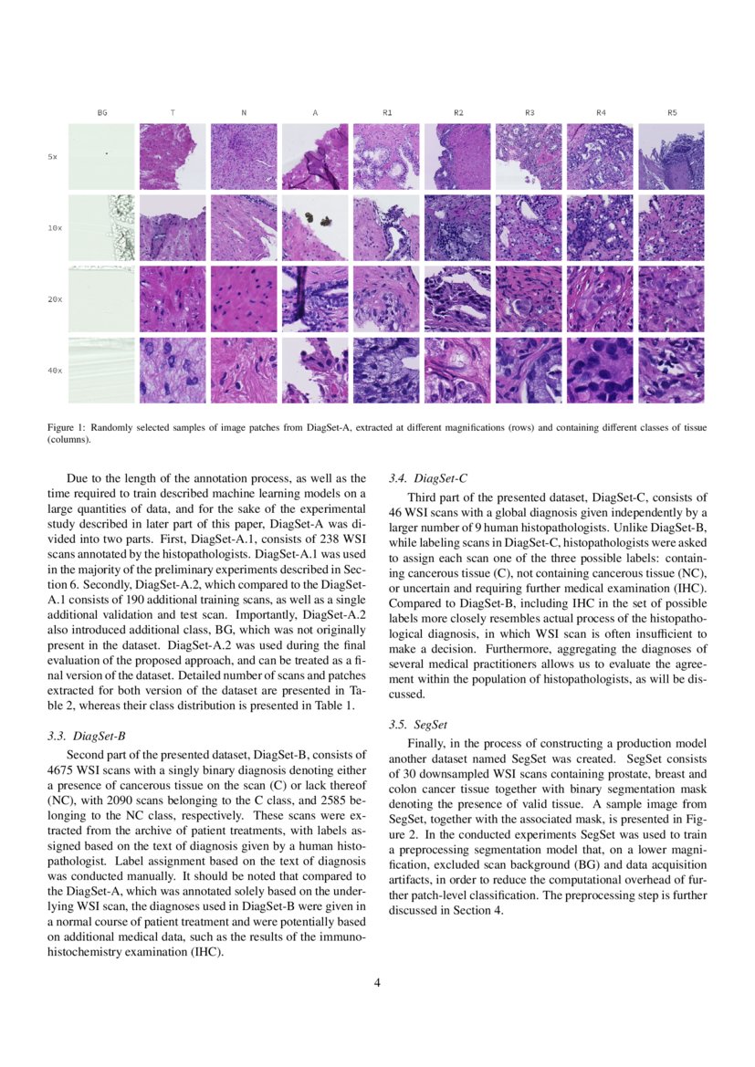 DiagSet: a dataset for prostate cancer histopathological image ...