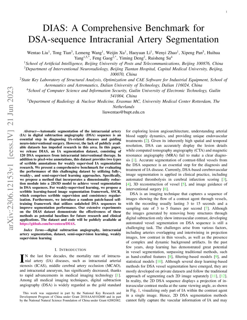 DIAS: A Comprehensive Benchmark for DSA-sequence Intracranial Artery Segmentation | DeepAI