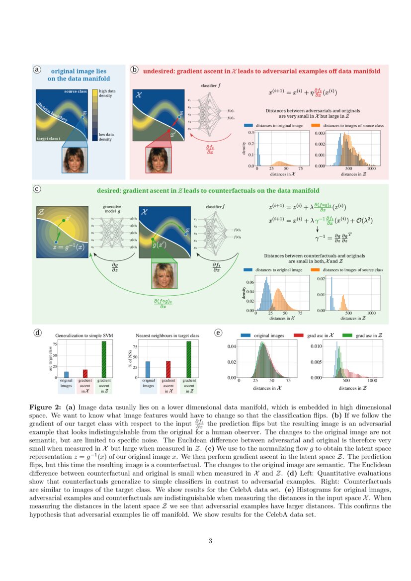 Diffeomorphic Counterfactuals with Generative Models | DeepAI