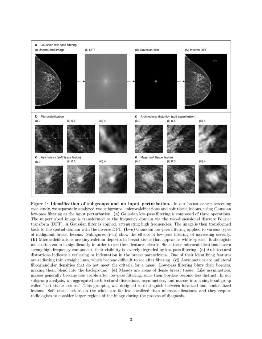 Differences between human and machine perception in medical diagnosis ...