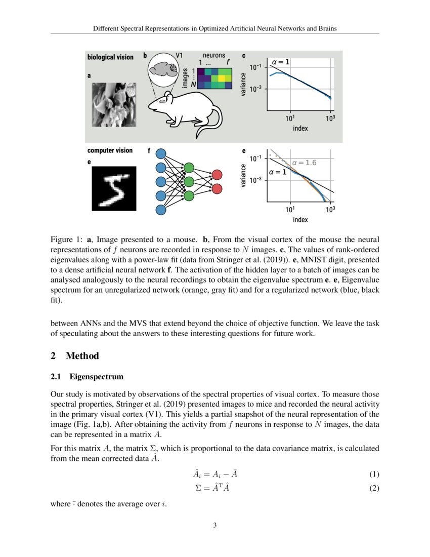 Different Spectral Representations in Optimized Artificial Neural Networks and Brains | DeepAI