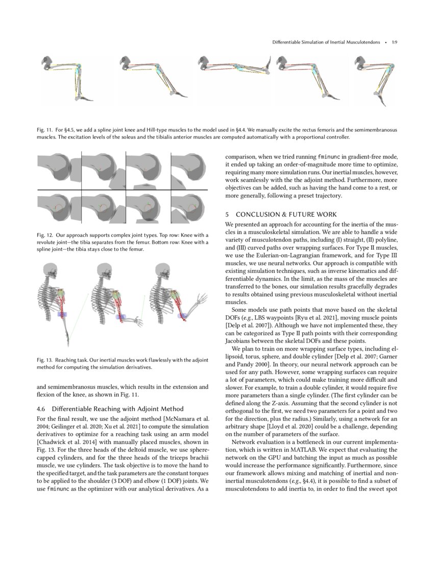 Differentiable Simulation of Inertial Musculotendons | DeepAI