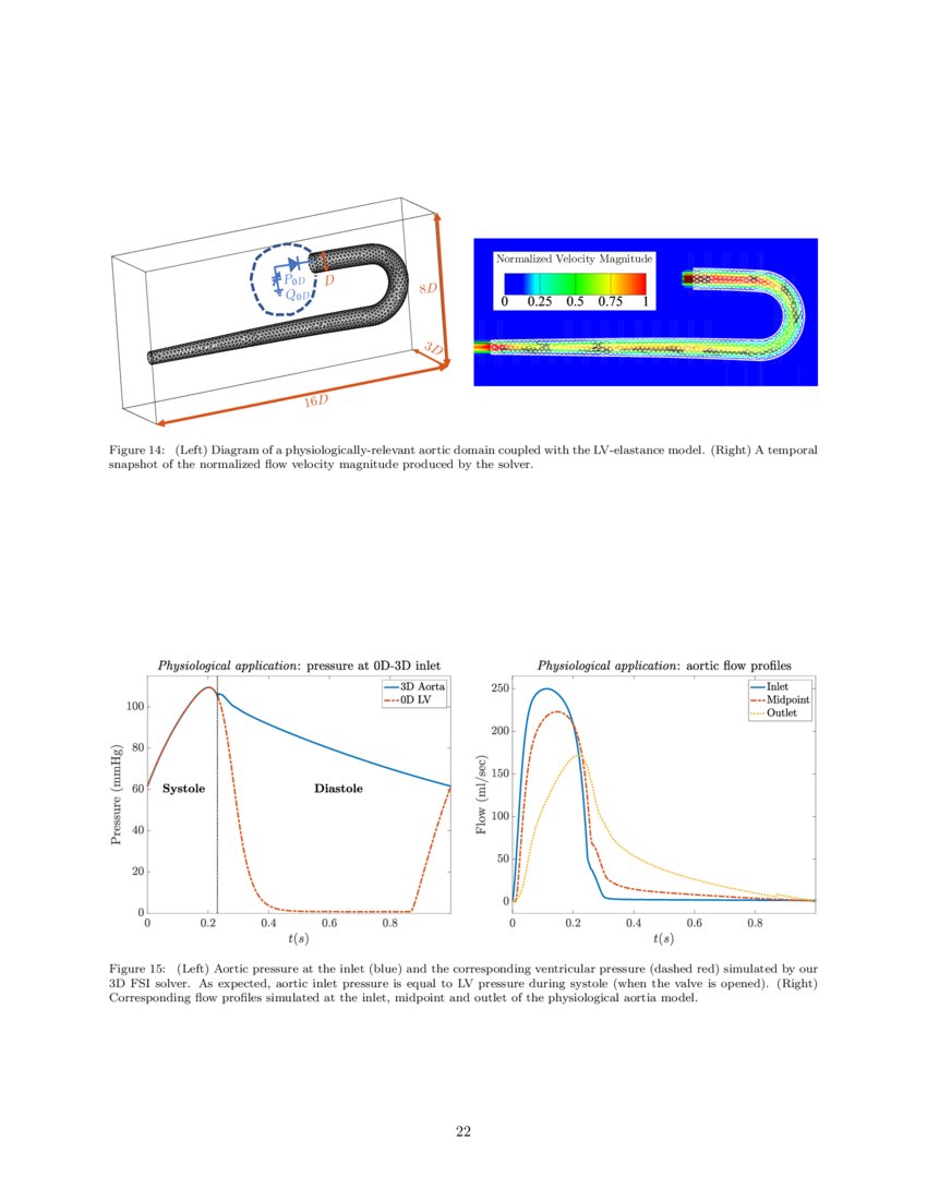 Direct 0D-3D coupling of a lattice Boltzmann methodology for fluid-structure hemodynamics ...