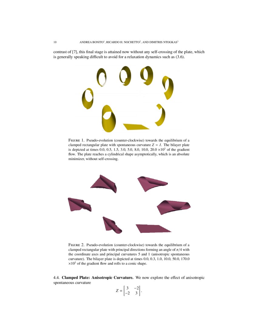 Discontinuous Galerkin Approach to Large Bending Deformation of a ...