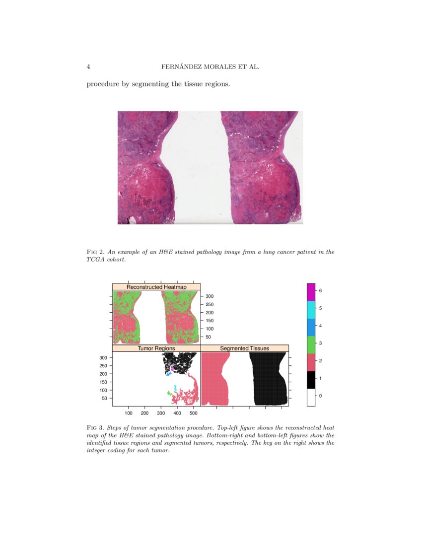 Discovering Clinically Meaningful Shape Features for the Analysis of ...