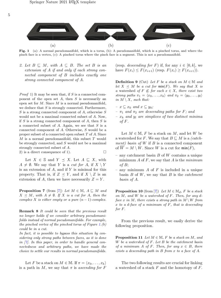 Discrete Morse Functions and Watersheds | DeepAI Discrete Morse Functions and Watersheds | DeepAI