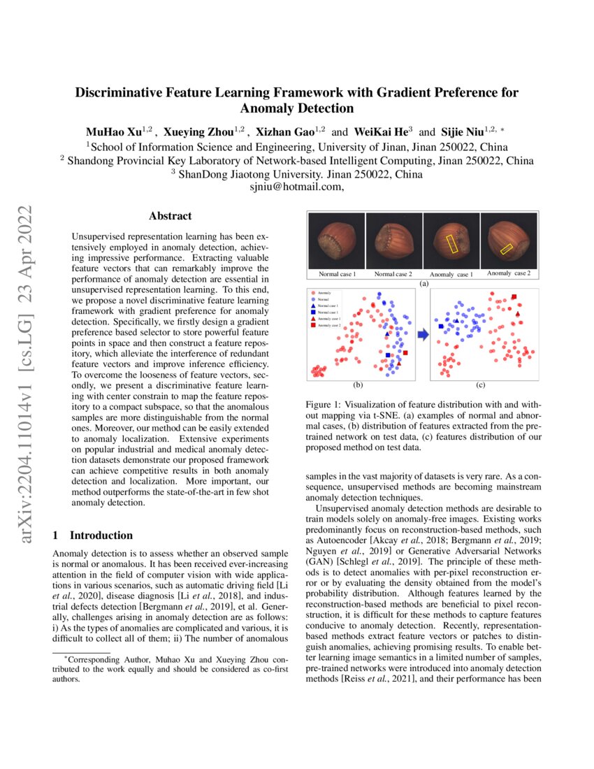 Discriminative Feature Learning Framework With Gradient Preference For