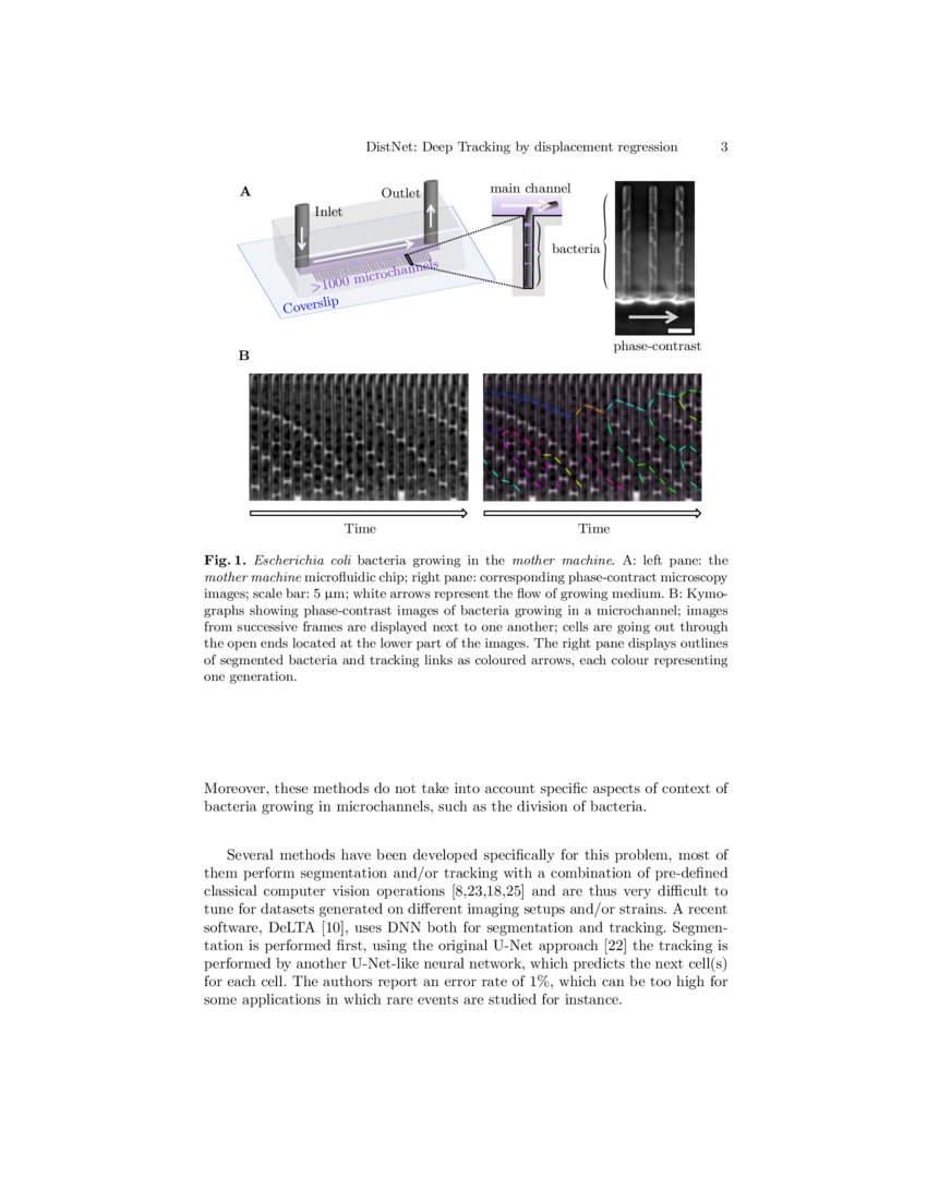 DistNet: Deep Tracking by displacement regression: application to ...