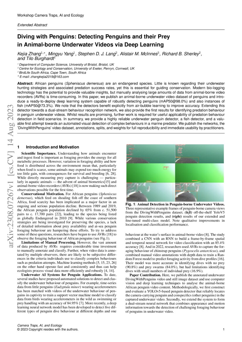 Diving with Penguins: Detecting Penguins and their Prey in Animal-borne Underwater Videos via ...