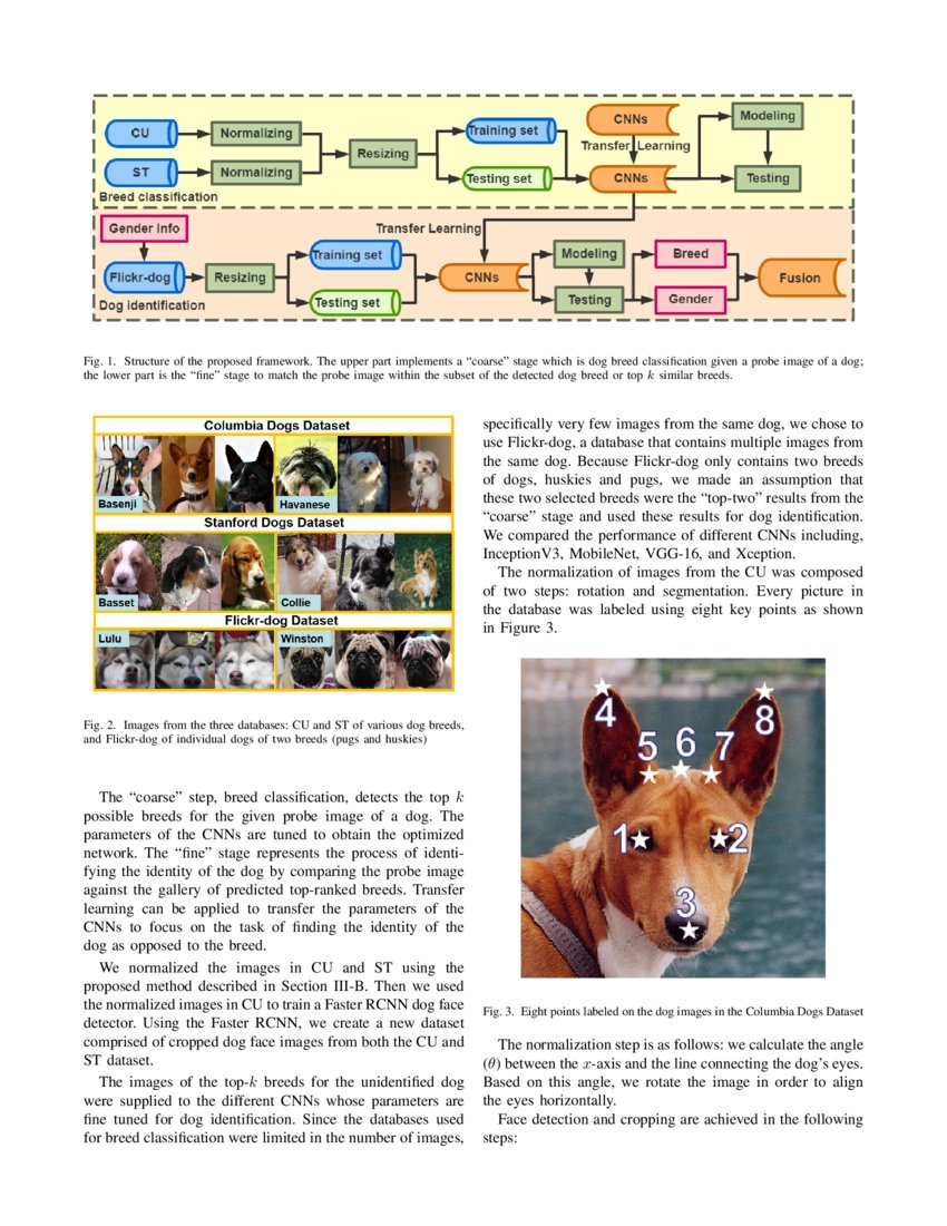 Dog Identification using Soft Biometrics and Neural Networks | DeepAI