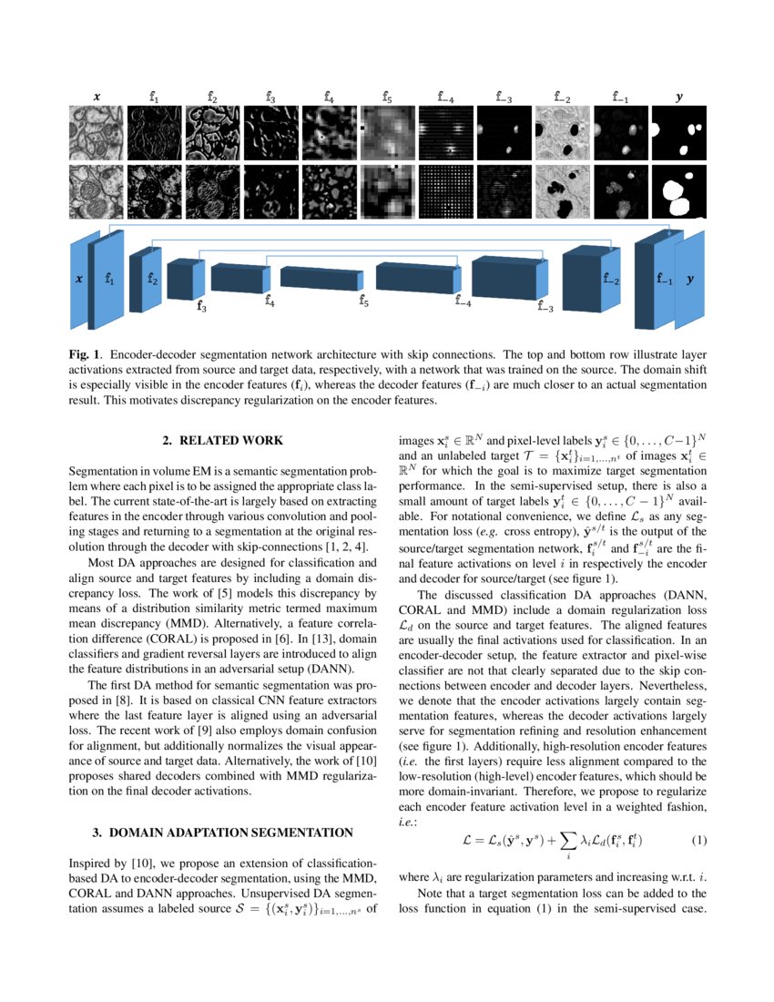 Domain Adaptive Segmentation in Volume Electron Microscopy Imaging | DeepAI