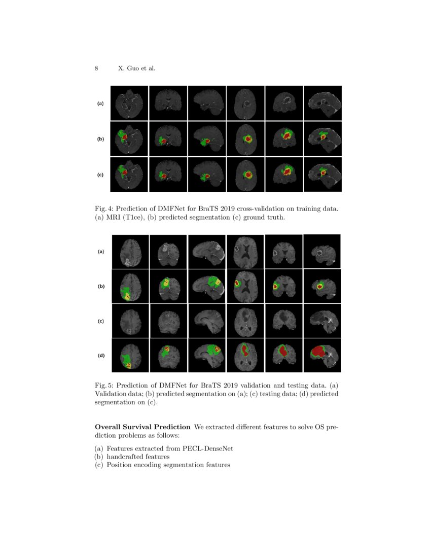 Domain Knowledge Based Brain Tumor Segmentation And Overall Survival