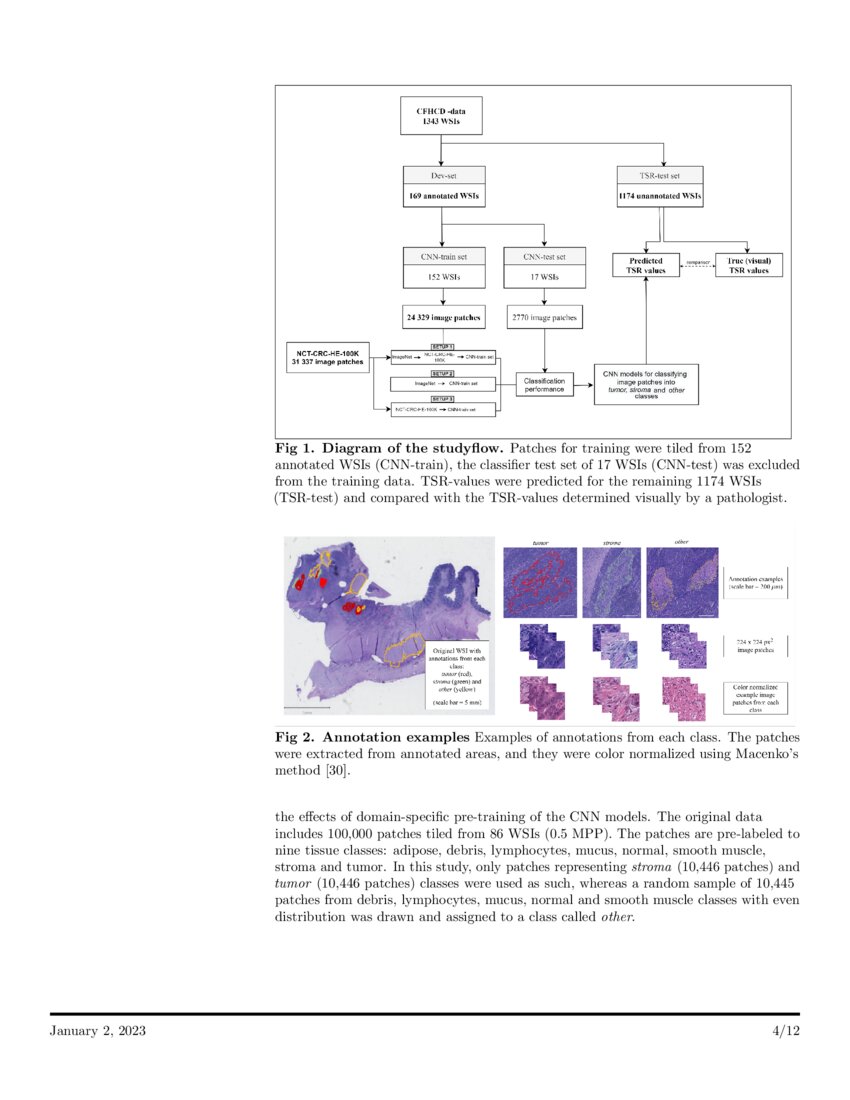 Domain-specific transfer learning in the automated scoring of tumor ...