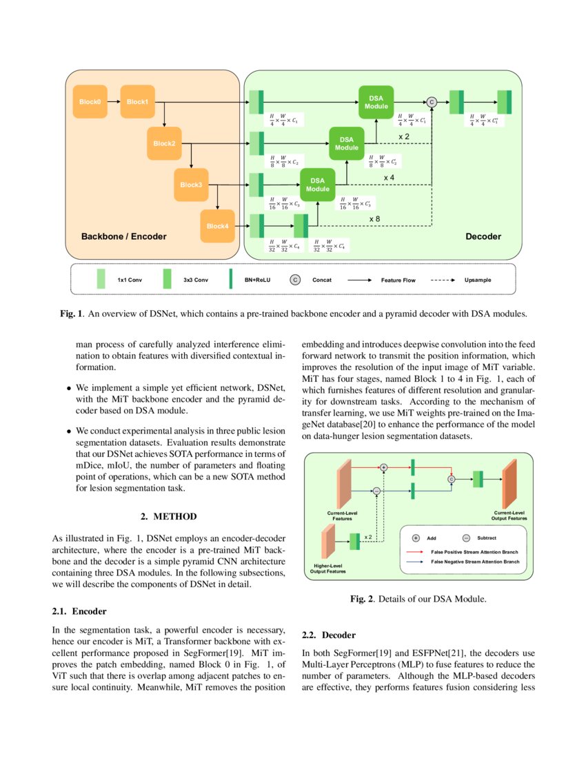 DSNet: a simple yet efficient network with dual-stream attention for lesion segmentation | DeepAI