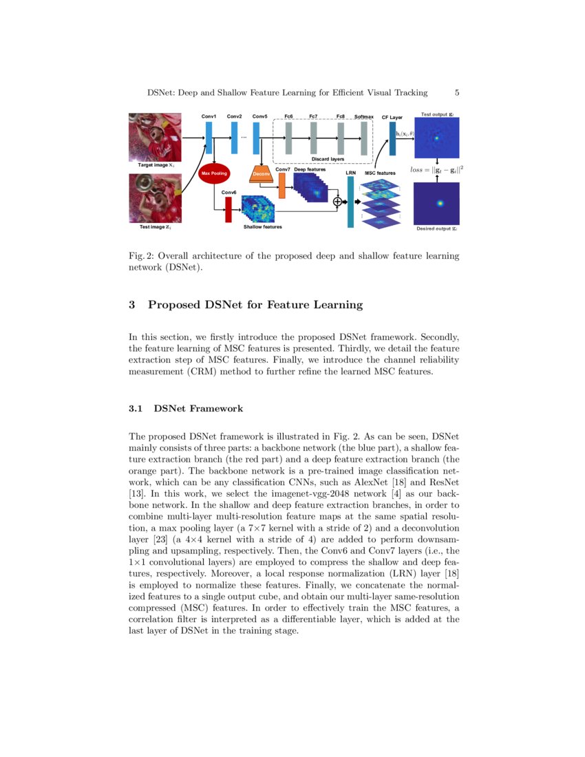 DSNet: Deep and Shallow Feature Learning for Efficient Visual Tracking ...