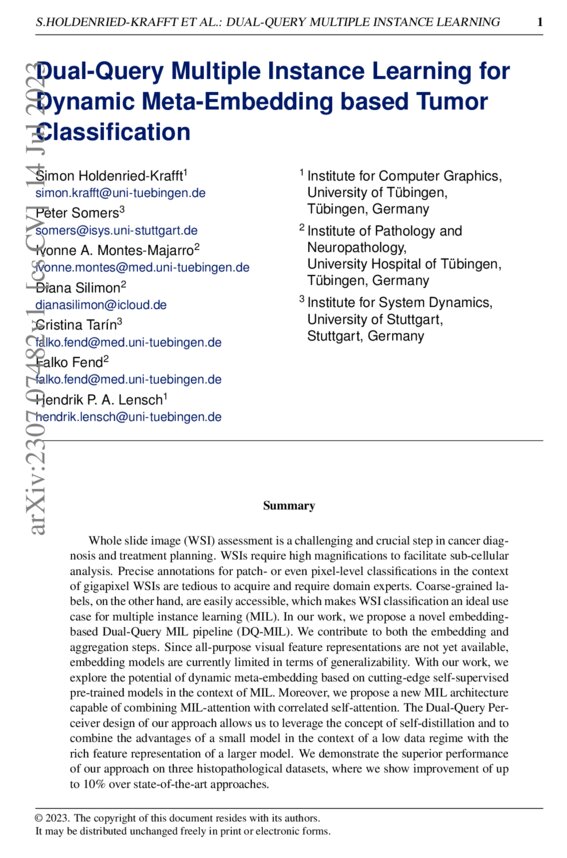 Dual Query Multiple Instance Learning For Dynamic Meta Embedding Based Tumor Classification Deepai