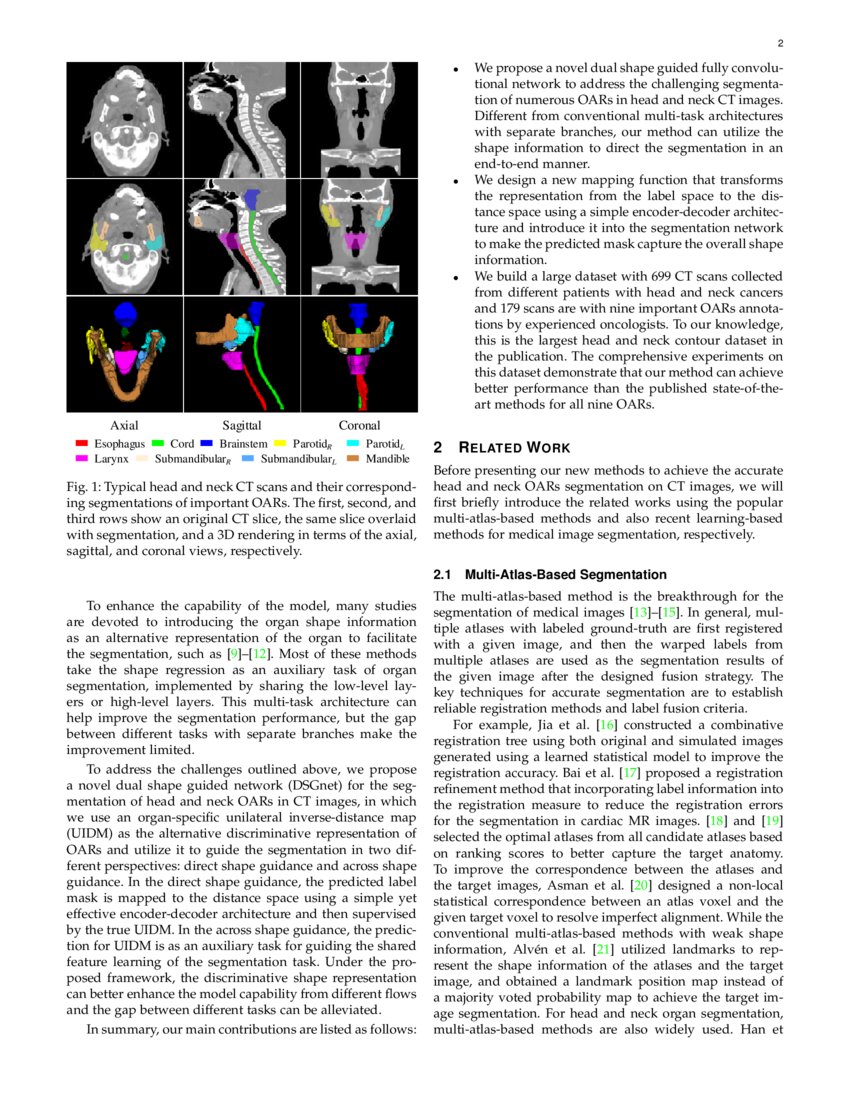 Dual Shape Guided Segmentation Network for Organs-at-Risk in Head and Neck CT Images | DeepAI